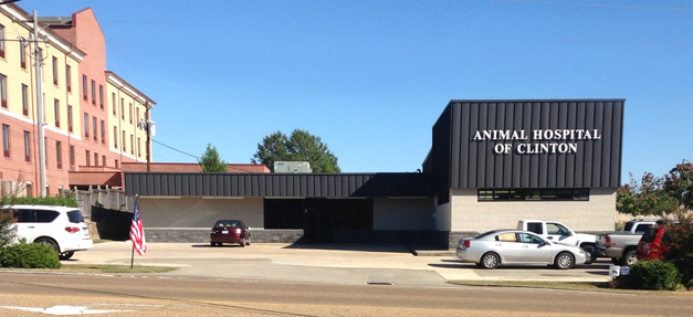 Animal Hospital of Clinton > Home